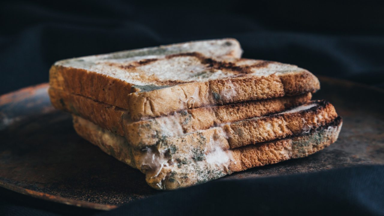 Alimentos mofados - Saiba dos riscos para sua saúde - Portal da ...